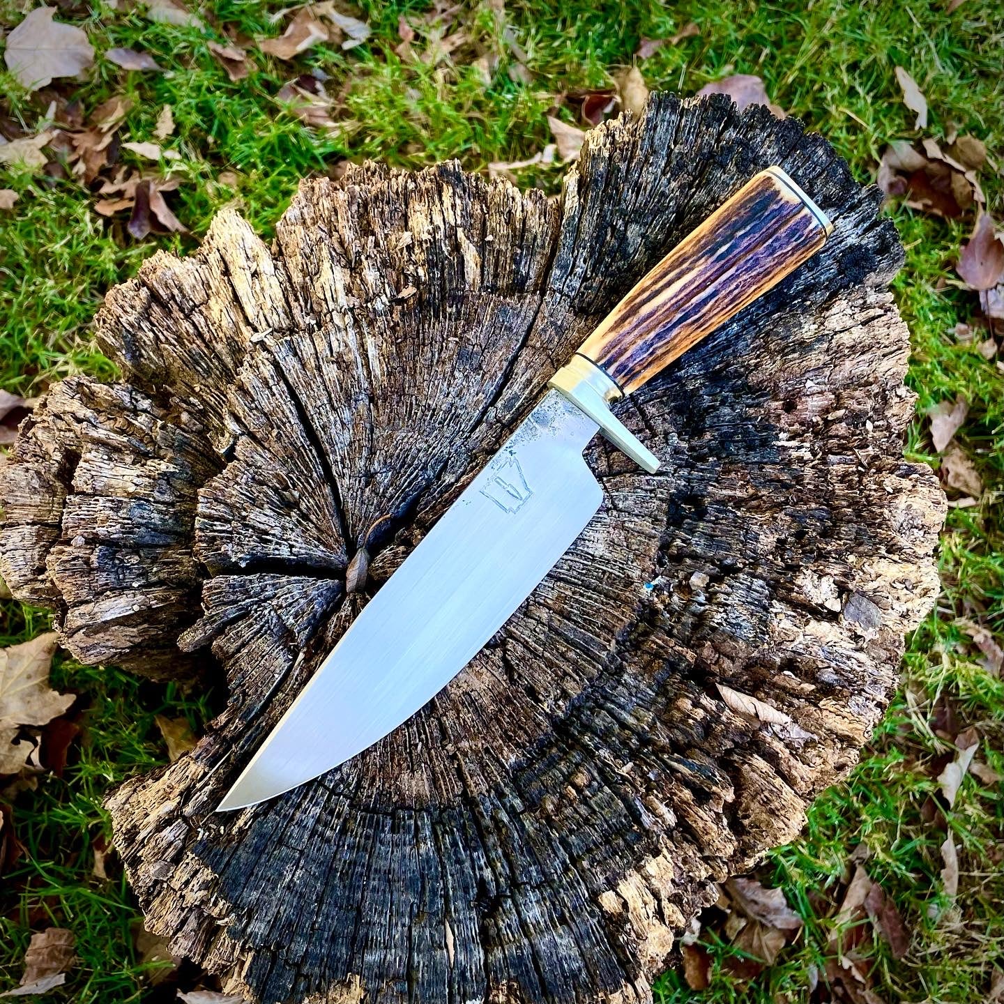 Stag Hunter by J. M. Stevens